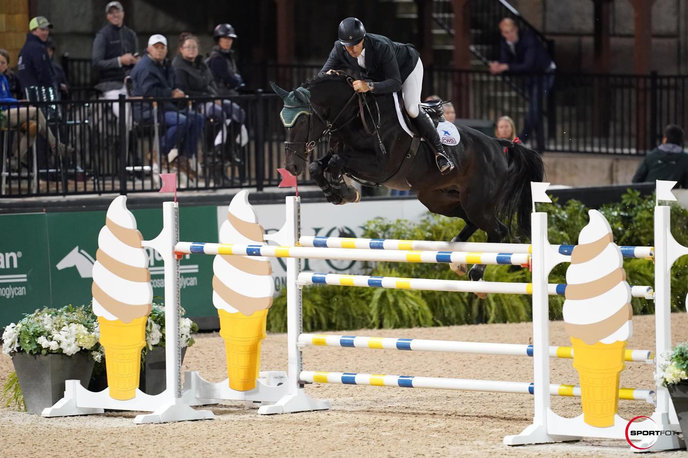 Balous Diamond - Gestüt Ligges